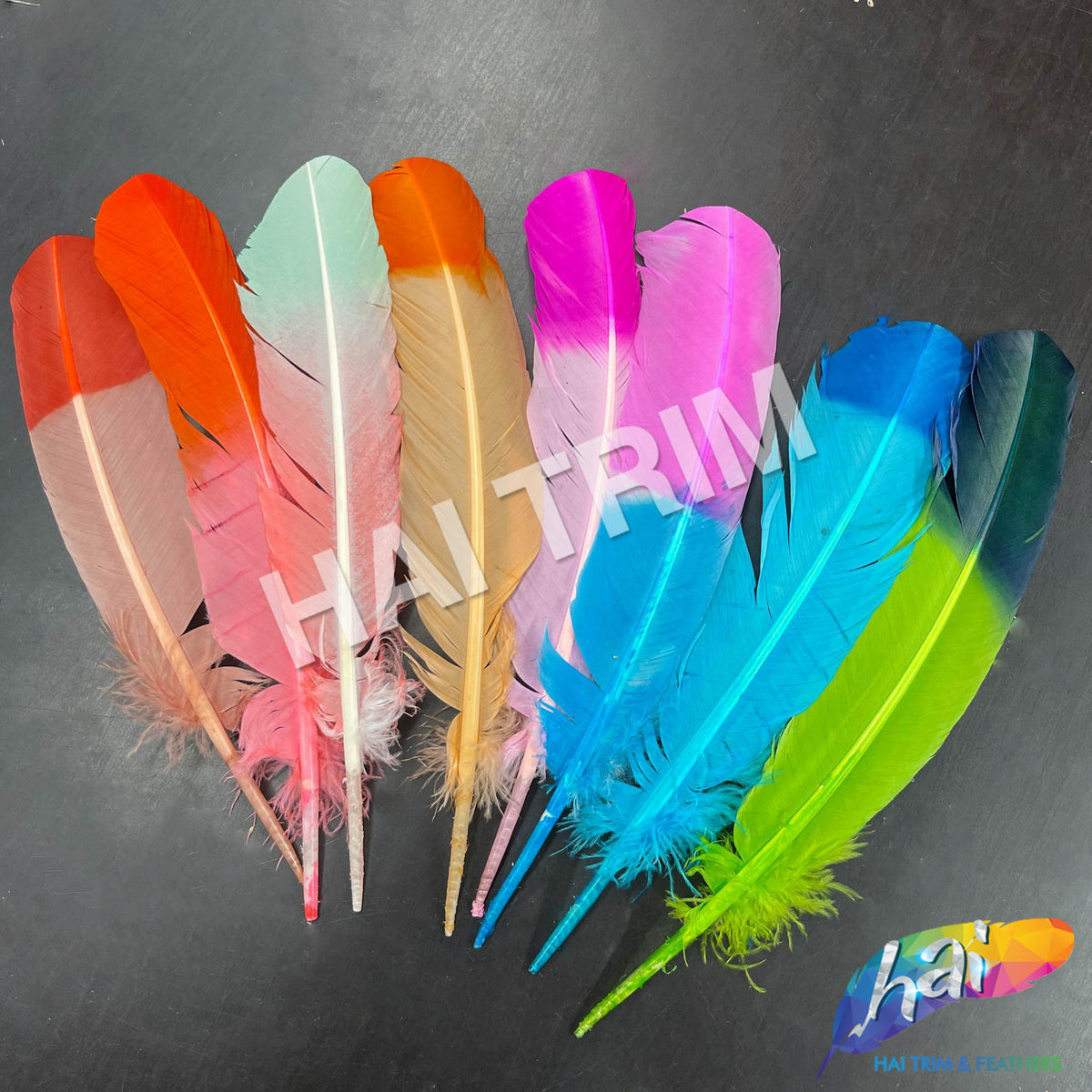 10-12" 2-tone Turkey Quills (sold per piece) - ONE SIDE ONLY – Hai Trim ...