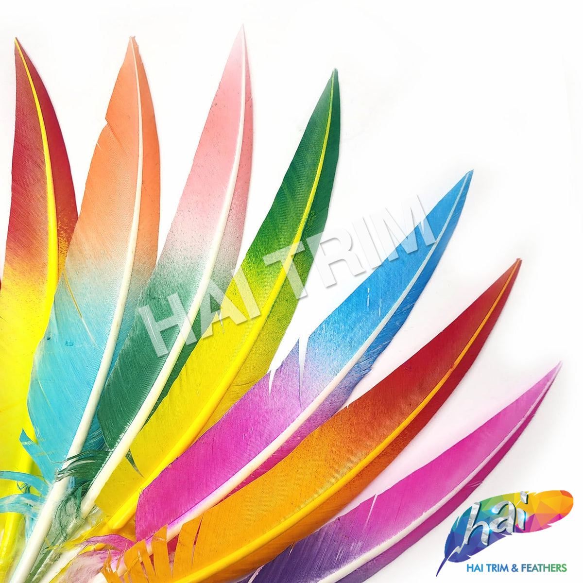 10-12" 2-tone Spray Painted Cut Turkey Quills (sold per piece) – Hai ...