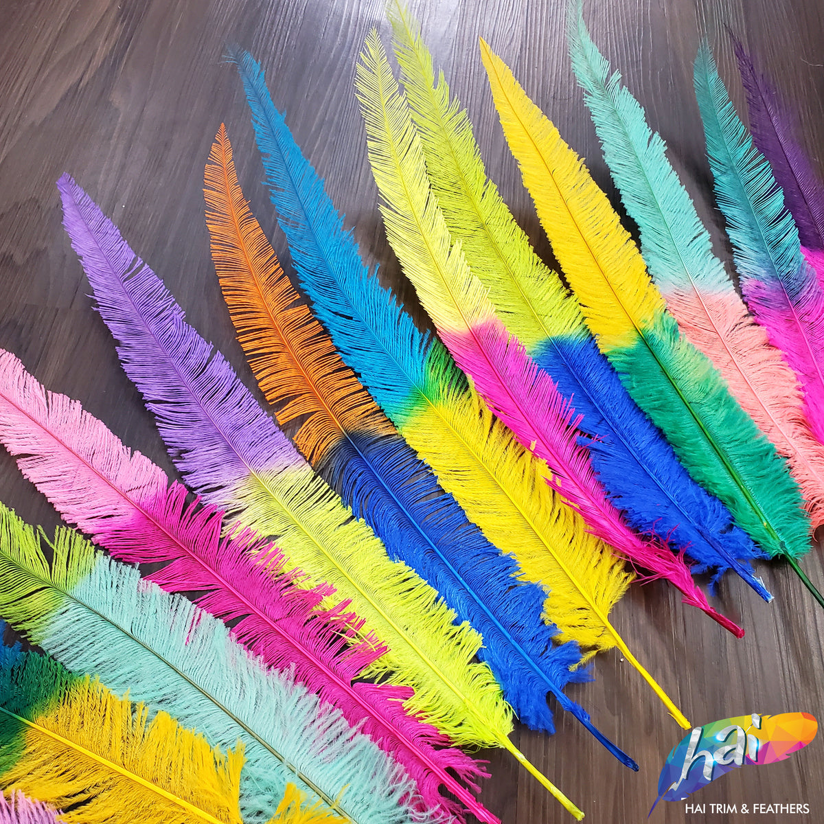 18-20" Two Tone Bleached Dyed Ostrich Nandu (sold per piece) – Hai Trim ...