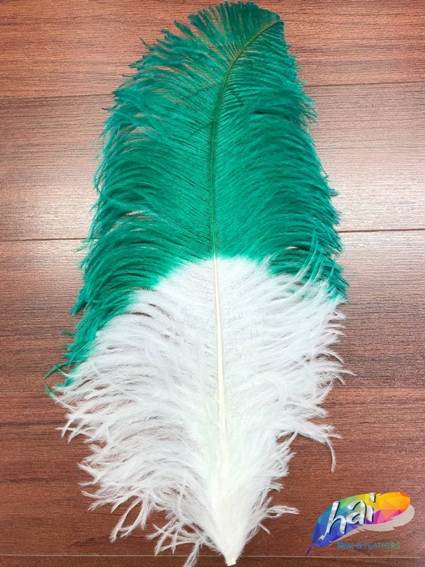 19-22" 2-tone Ostrich Plumes – Hai Trim & Feathers